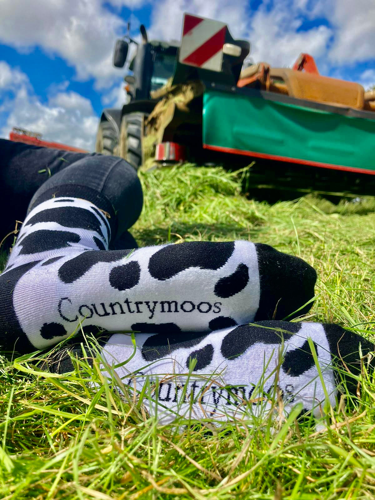 Highland Cow Socks And Cow Print Socks (Crew Style) (Pack Of 2 ...